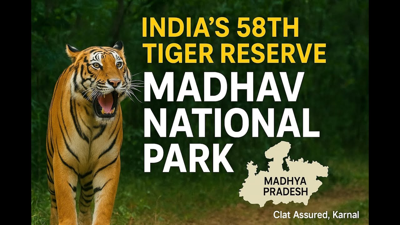India’s 58th Tiger Reserve is here! 🐅 Madhav National Park, Madhya ...
