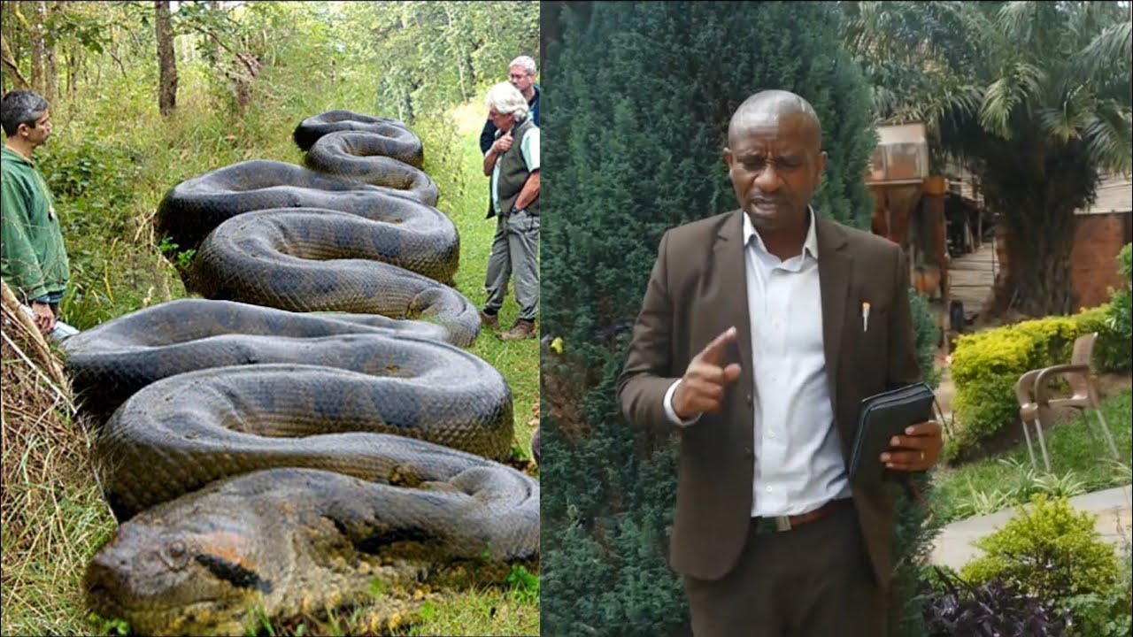 Asenga Habaye ibisa n'imperuka haje ikiyoka kivuga indimi zose|dore ...