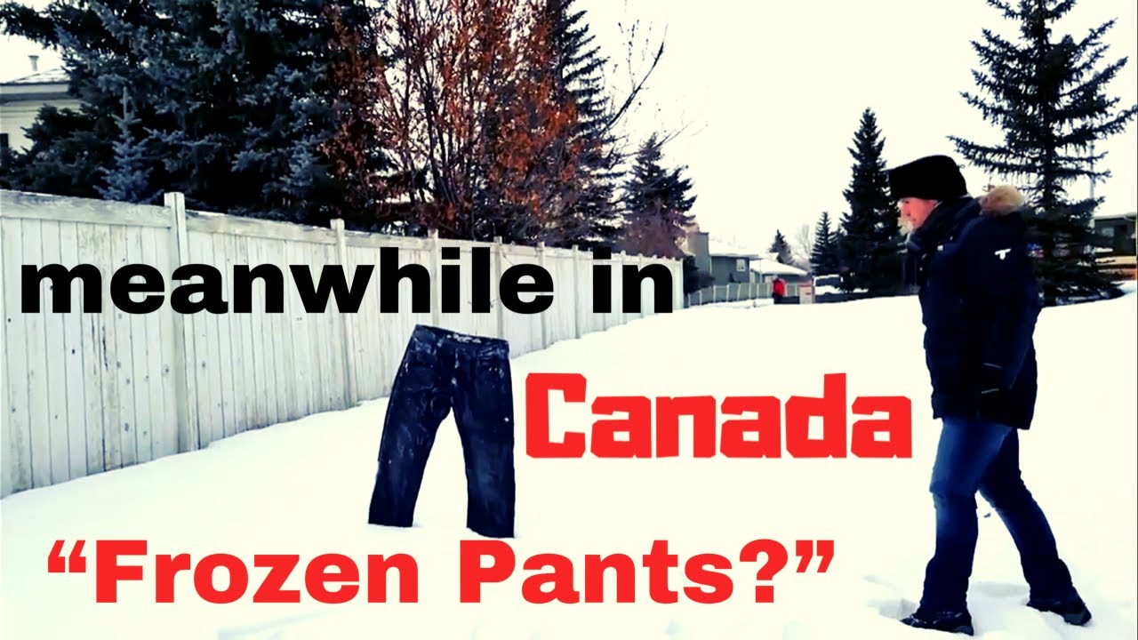 Meanwhile In Canada Snow Meme