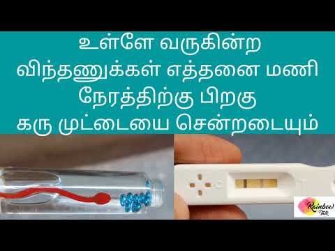 @RainbowTalk91How many hours after the sperm will reach the egg follicles?/ Earlier pregnancy tips