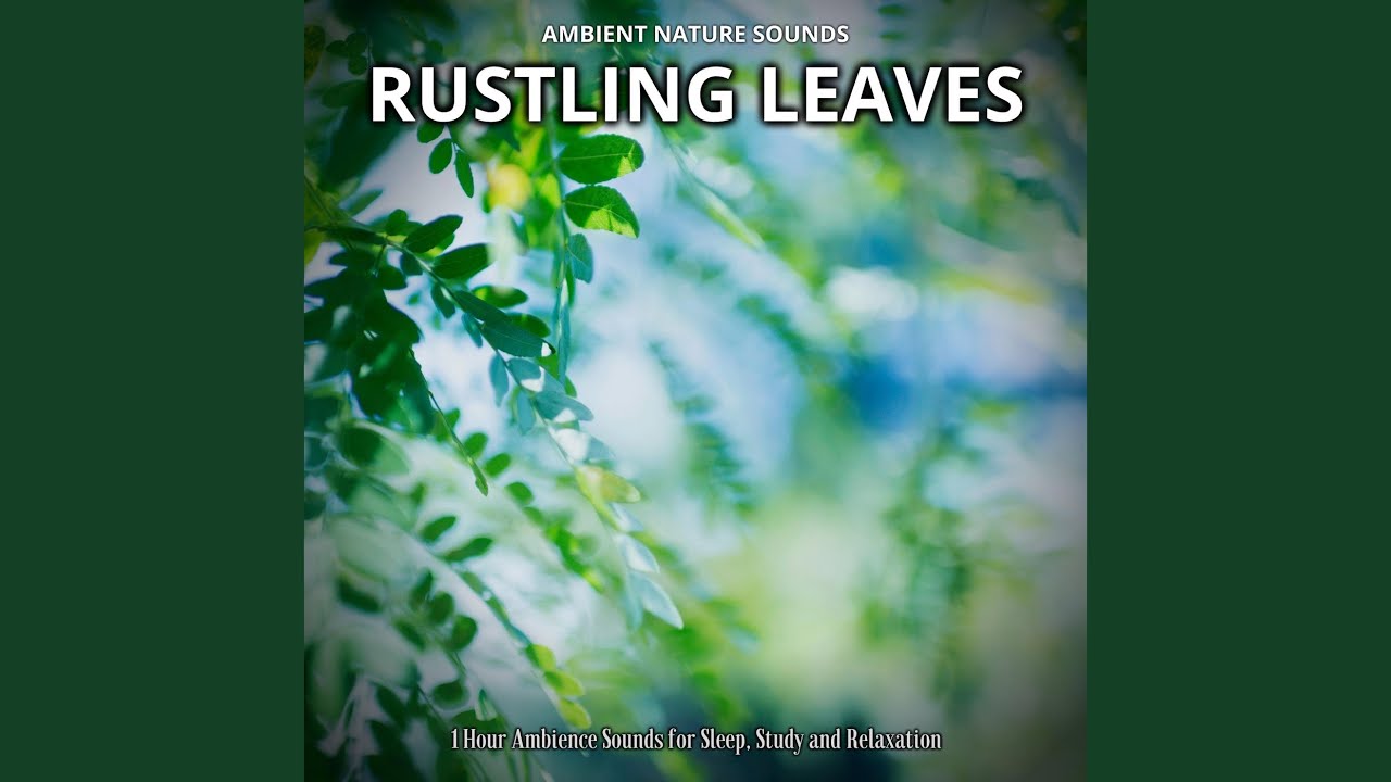 Rustling Leaves (Outro) - YouTube Music