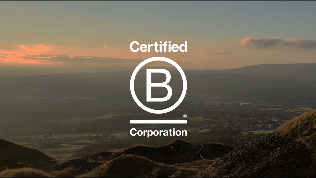 Creature & Co. Creative Agency certifies as a B Corporation - YouTube