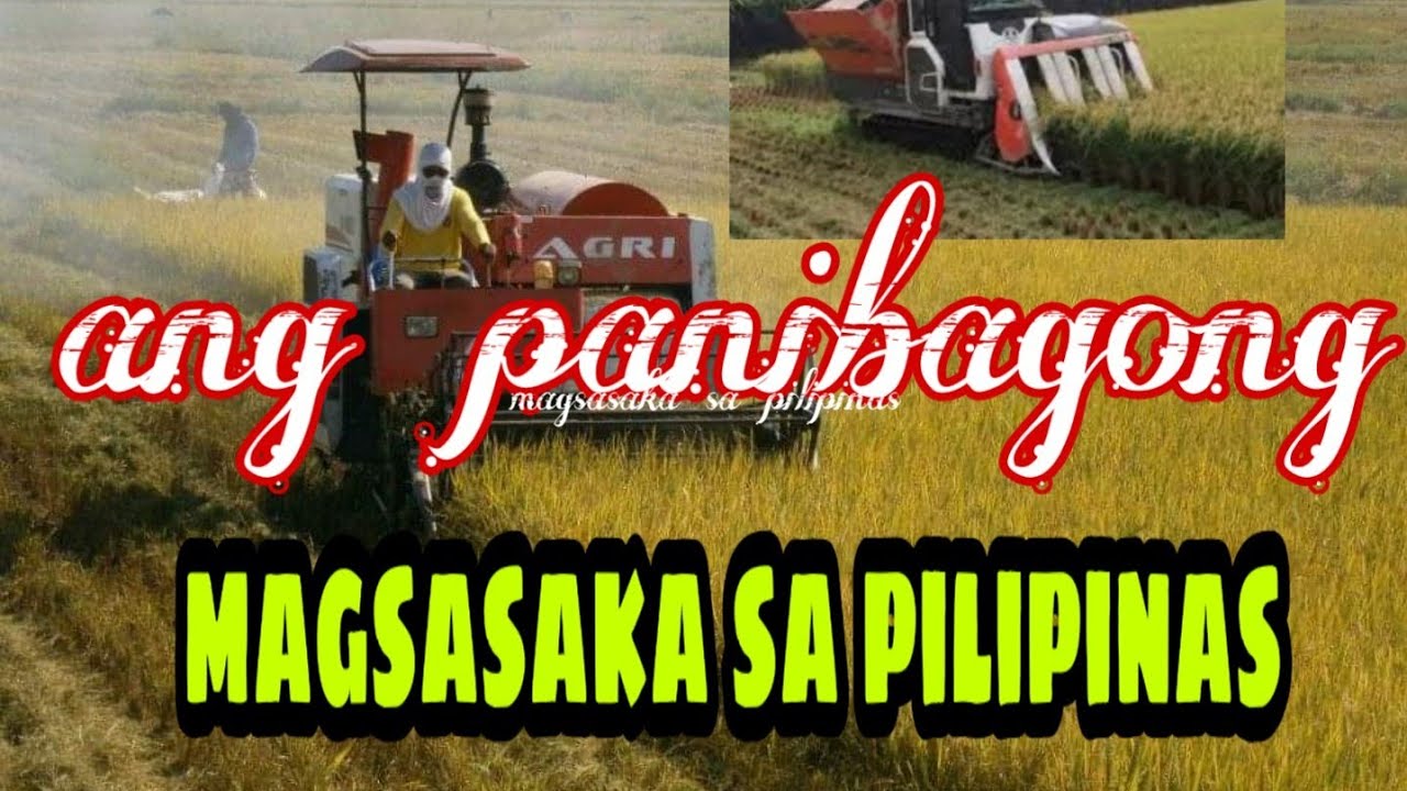 Mabilisang pag aani ng palay /machine harvest - YouTube