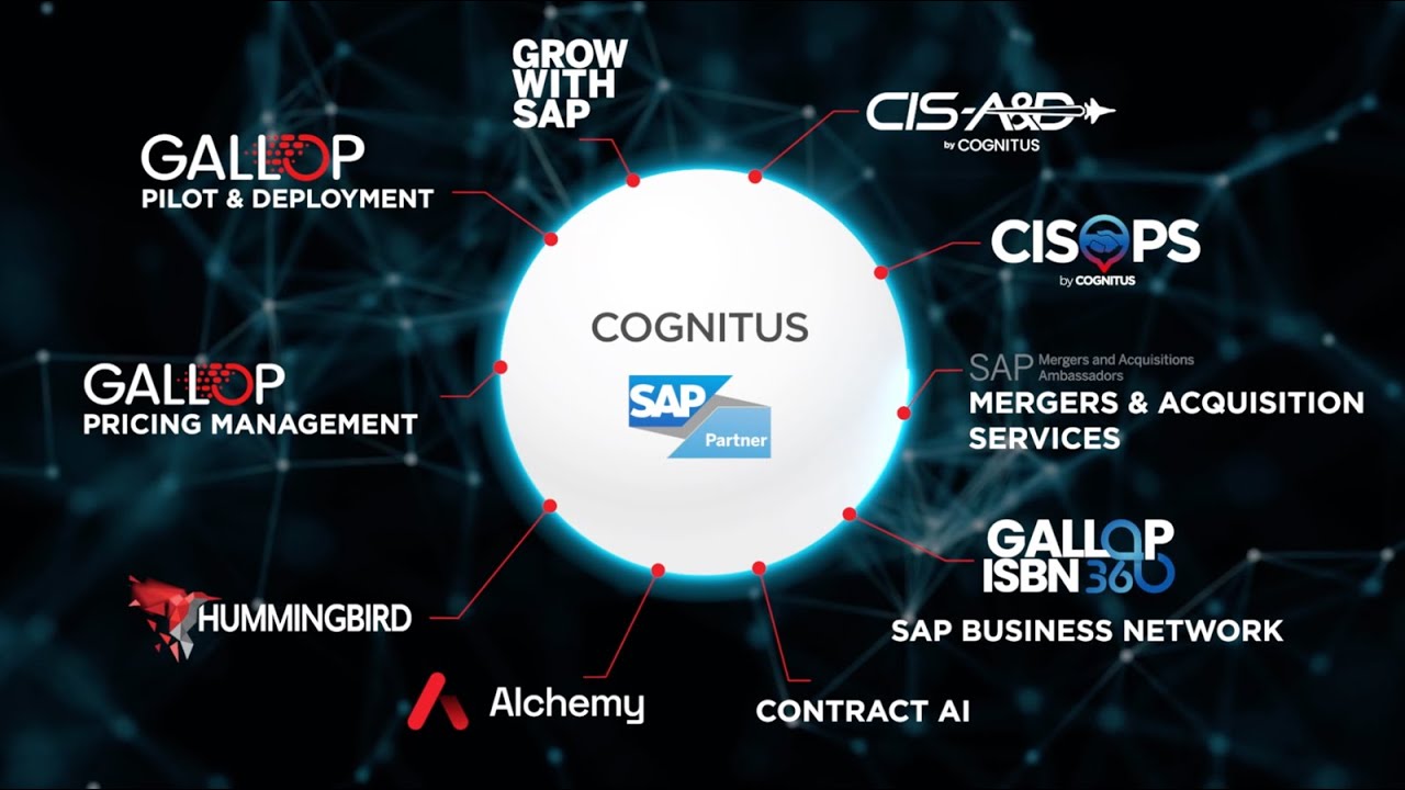 Cognitus Portfolio SAPPHIRE 2023 - YouTube