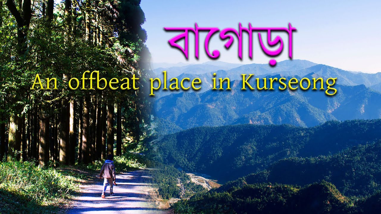 বাগোড়া || Bagora || Bagora Kurseong - YouTube