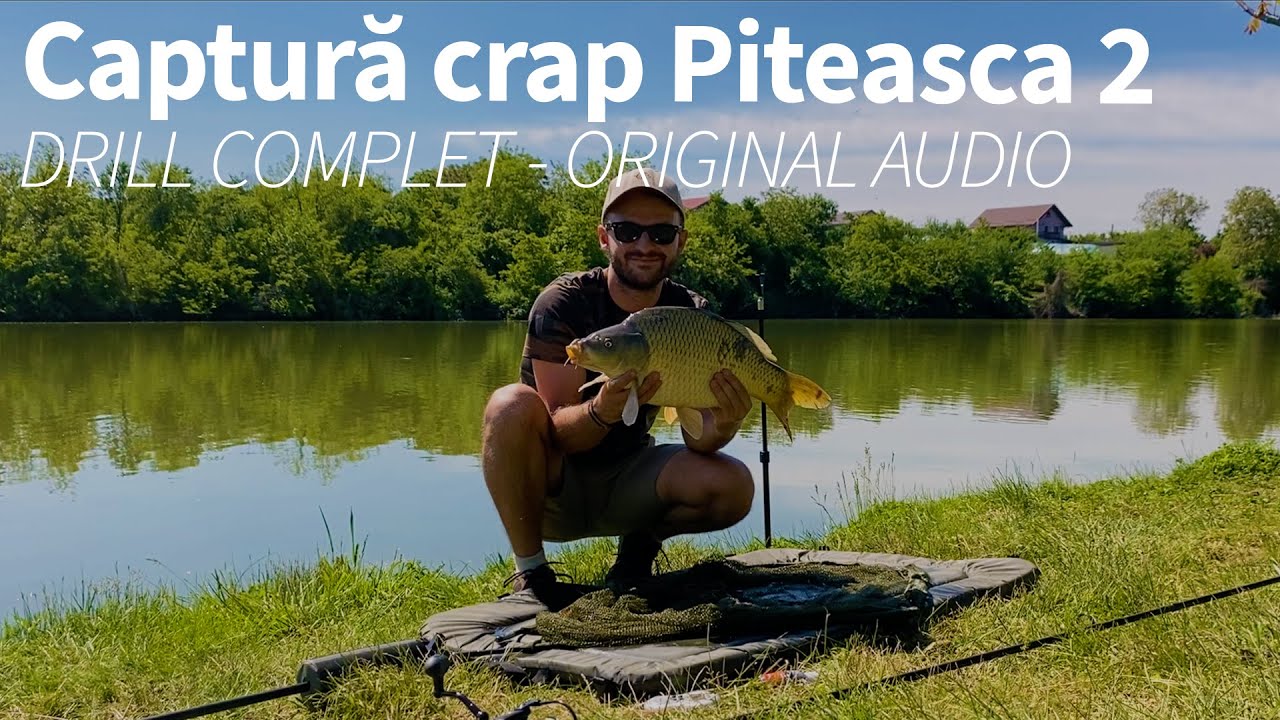 CAPTURA partidei de pescuit la CRAP - Balta Piteasca 2 | DRILL complet ...