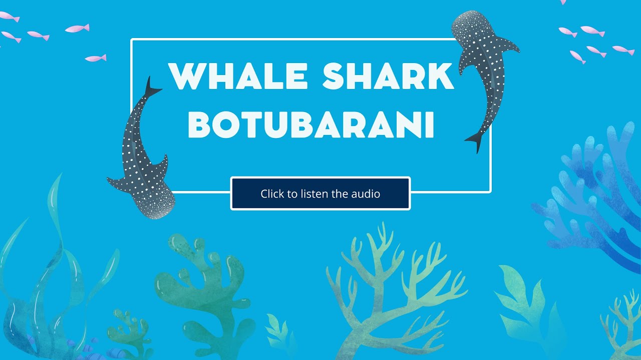 WHALESHARK IN BOTUBARANI GORONTALO - YouTube