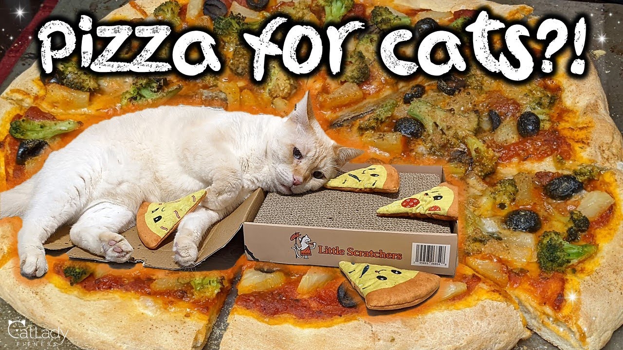 Giving my raw food cats PIZZA?! 🙀🍕 (an unexpected catnip toy) - YouTube