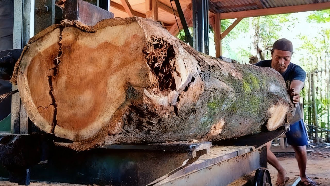 The process and beauty of teak wood being sawn in the largest wood ...