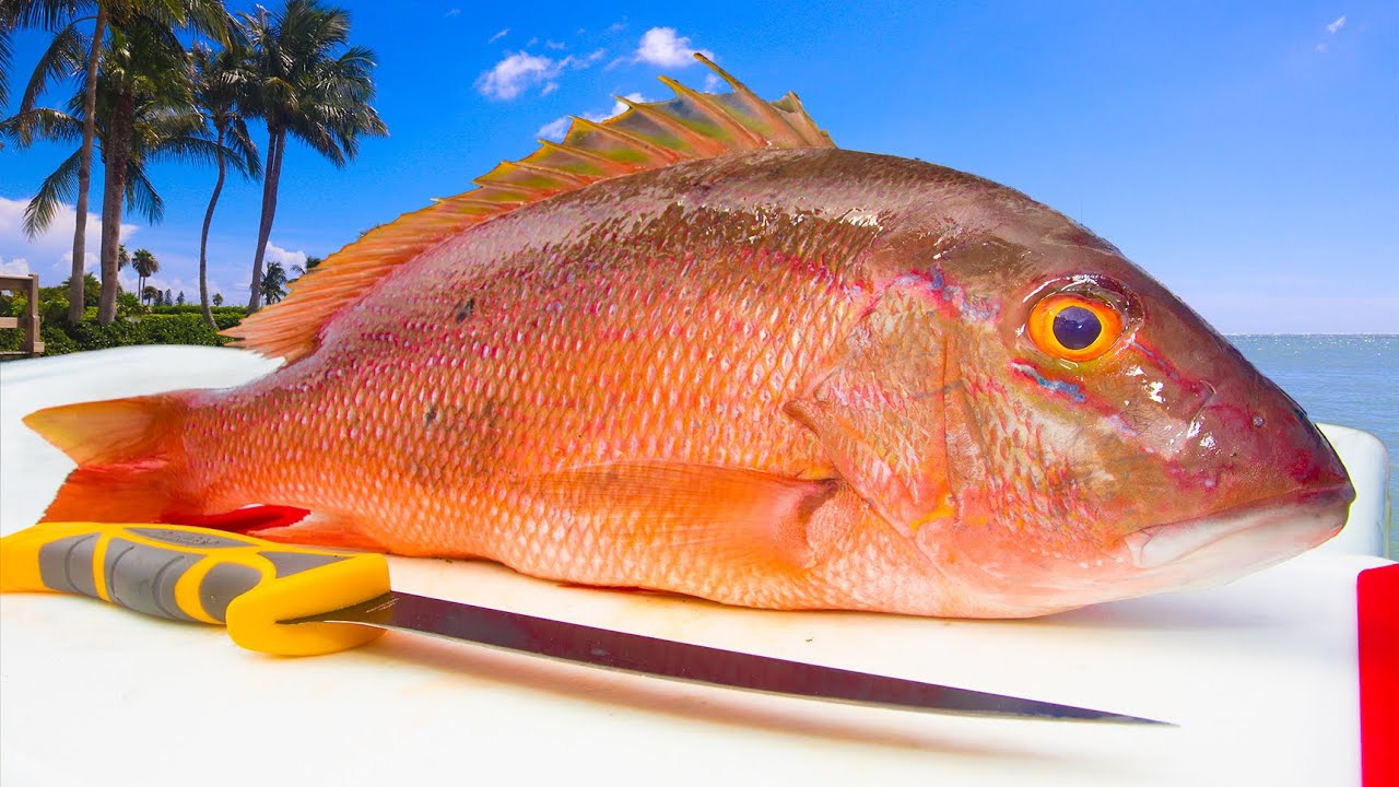 Deep Sea Snapper Fishing: Easy & HEALTHY Fish Recipe! Catch Clean Cook ...