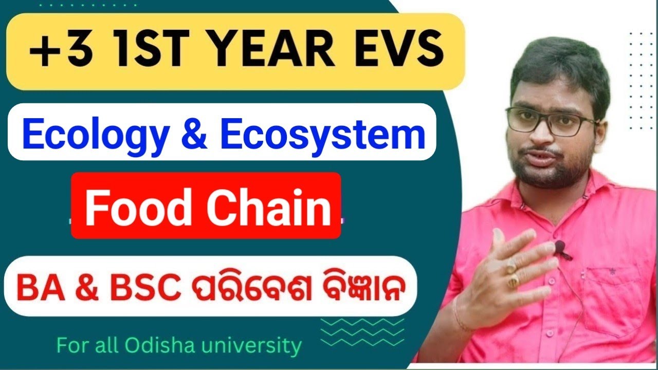 Food Chain | Ecosystem | +3 1st Year EVS | ପରିବେଶ ବିଜ୍ଞାନ ...