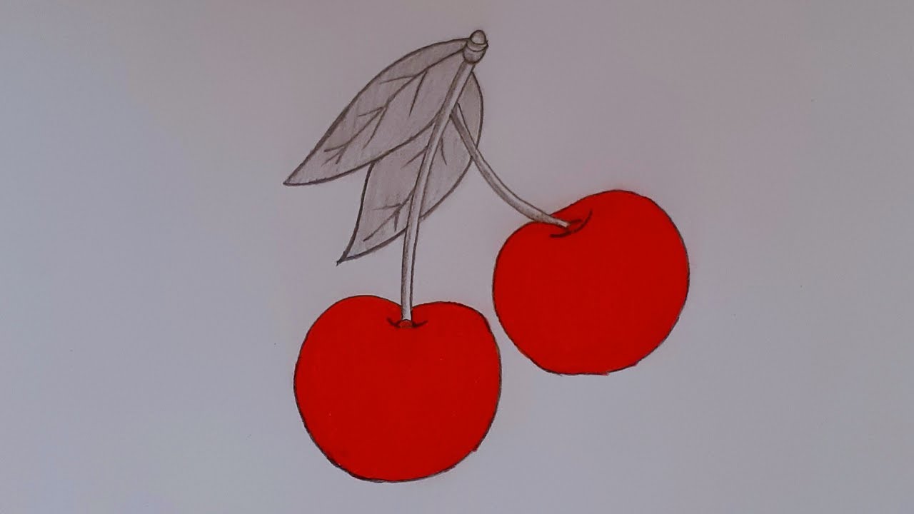 How to draw cherry sketch||cherry drawing easy - YouTube