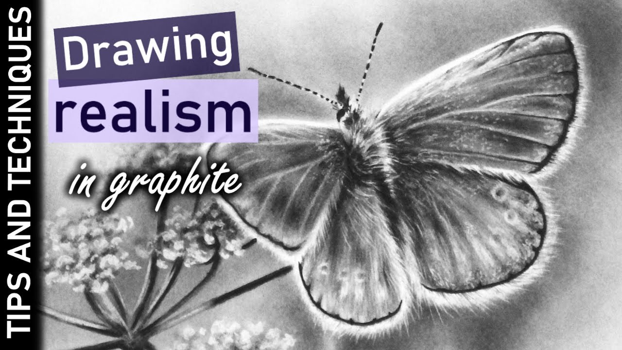 Tips for drawing realism in graphite | Drawing a Butterfly in graphite ...