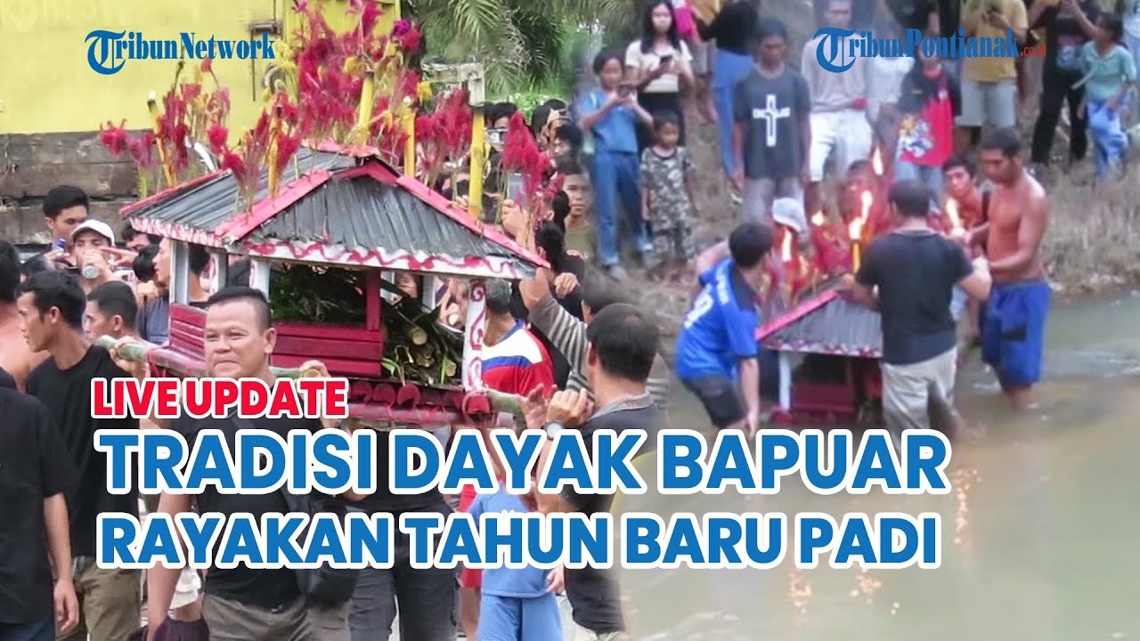 🔴 Ritual Dayak Bapuar Tahun Baru Padi Dusun Engkalong, Kuala Behe ...