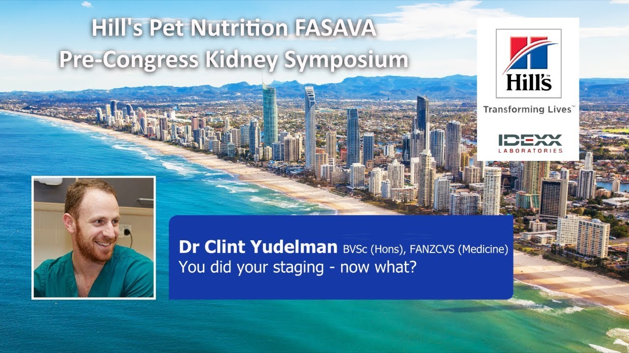 PROMO: You did your staging - now what? - Dr Clint Yudelman - YouTube