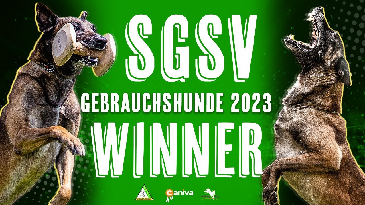 SGSV Meisterschaft 2023 // Daiquiri vom Mittelpunkt // Winner ...