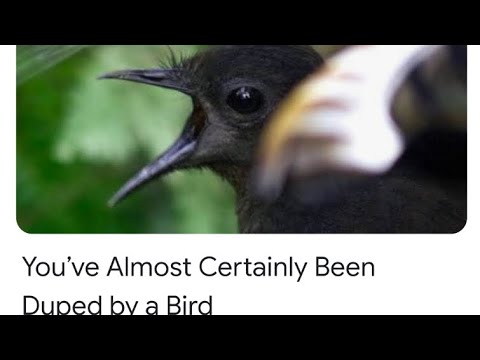 Molvie's Unfinished Dainsleif AMV with Good Kid alchemist song - YouTube