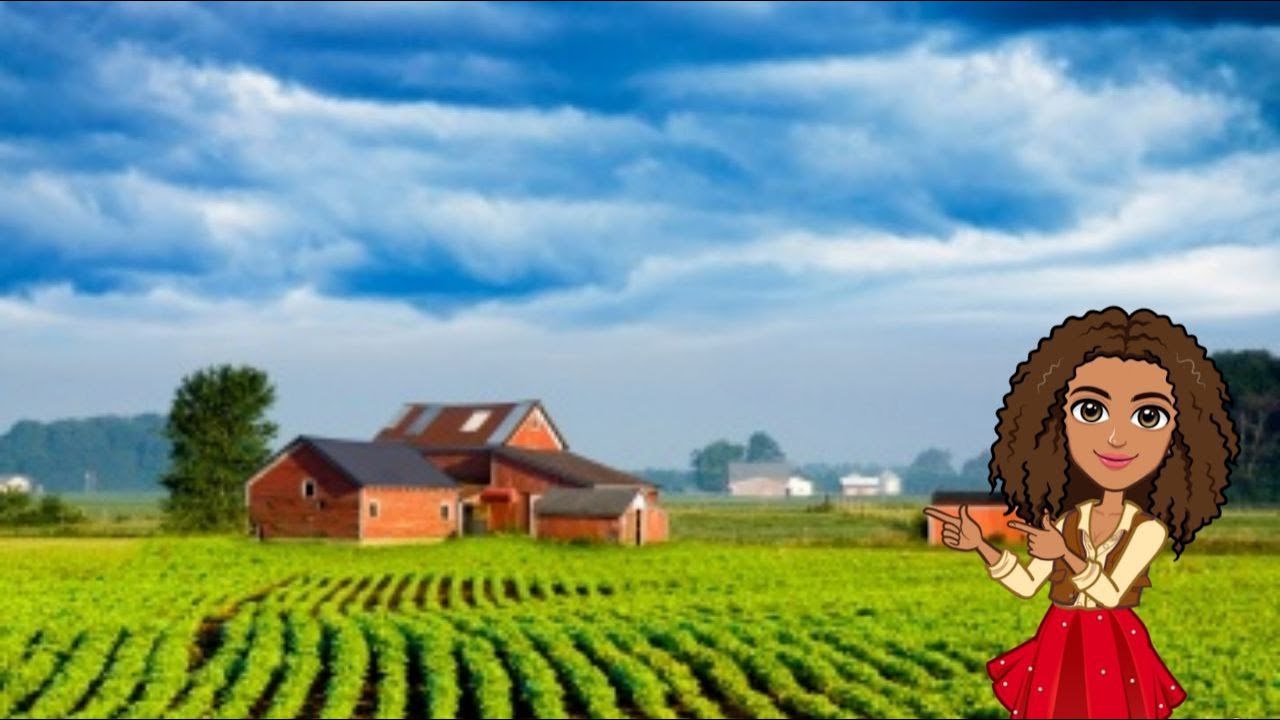 ഭാഗ്യാന്വേഷികൾ | FORTUNE SEEKERS | ജാലകം | Episode 67 | Anu Chacko Vlogs - YouTube