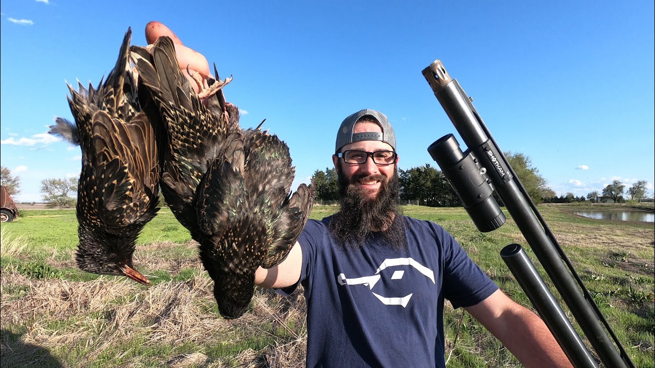 Farm Hunting with my New Camera (Pest Control) - YouTube