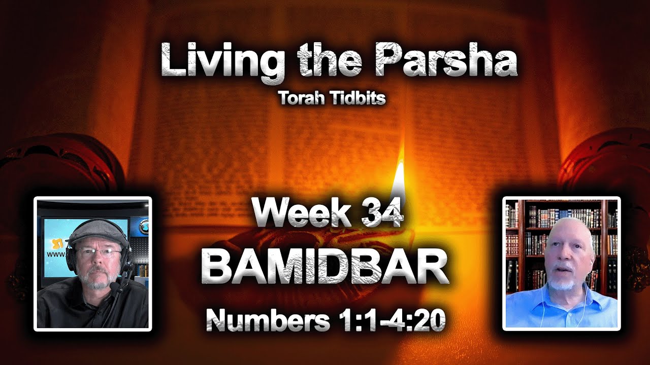 Living the Parsha - Torah Tidbits: Bamidbar with Gavriel Sanders - YouTube