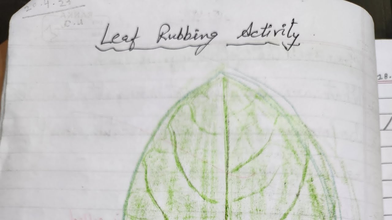 Leaf Rubbing activity and explanation of parts of a leaf - YouTube