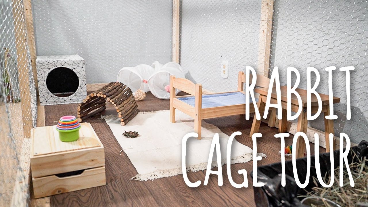 DIY Rabbit Cage Tour With A Gate - YouTube