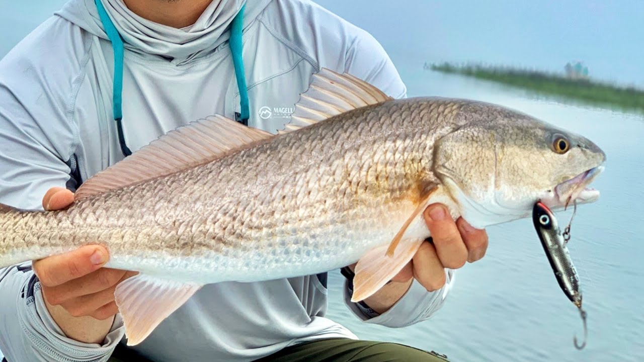 SPRING TOPWATER TIPS: Best Spots, Tactics & Lures For More Topwater ...