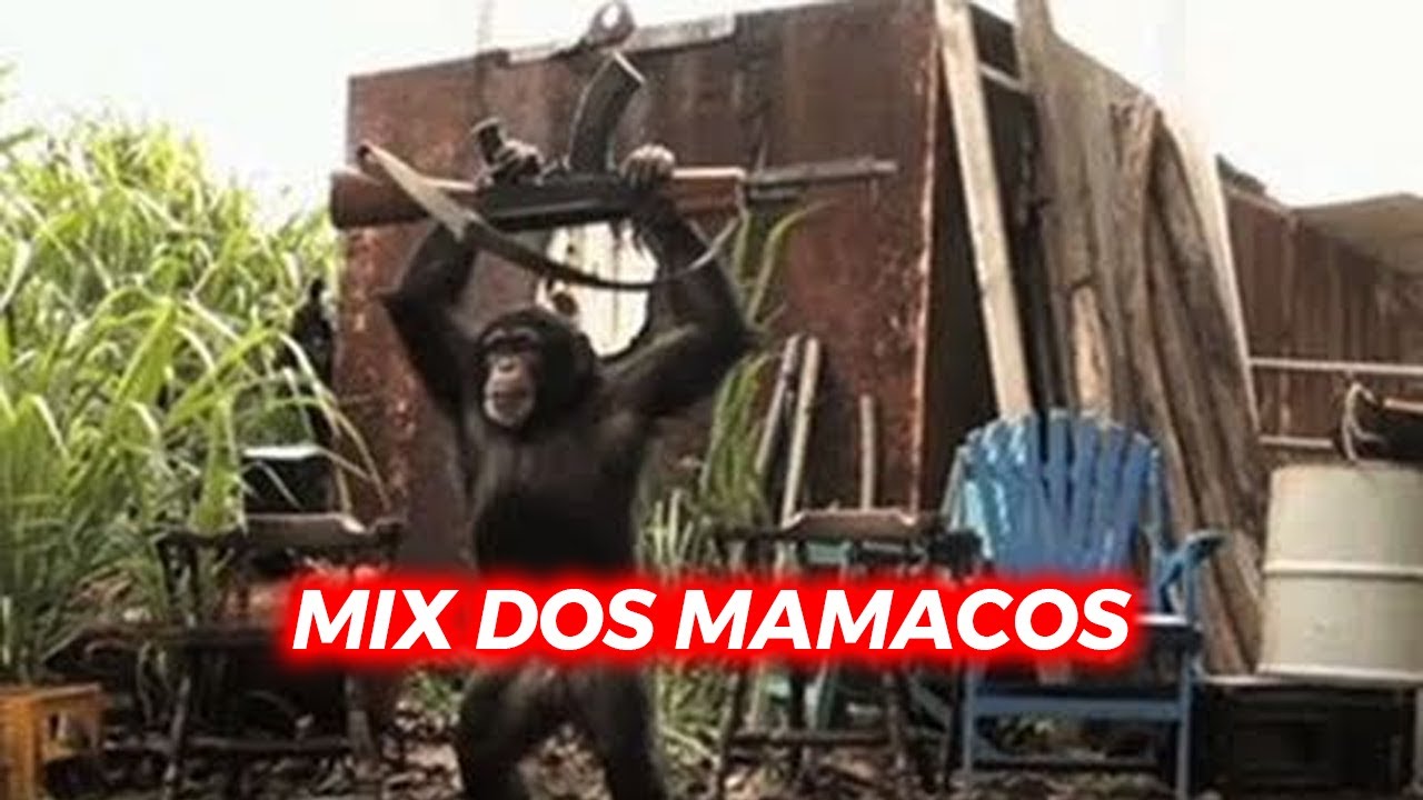 mix dos mamacos - YouTube