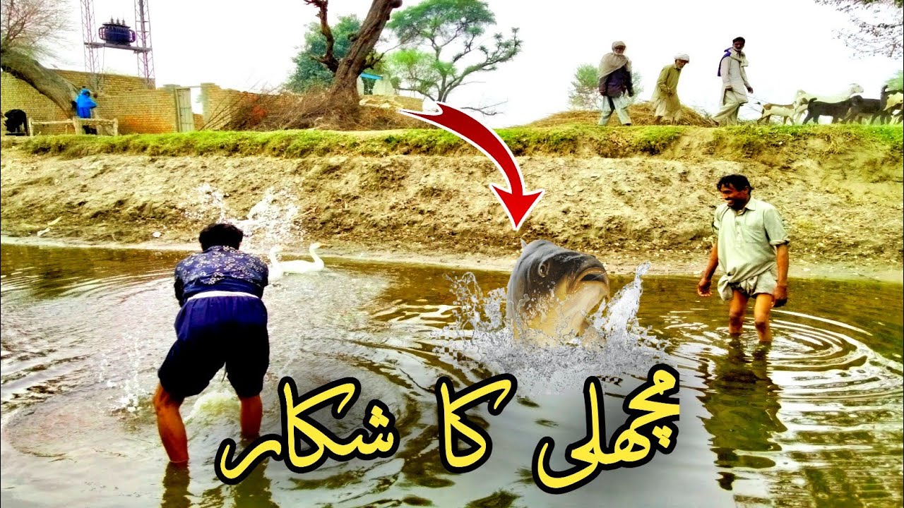 Best Net Fishing Video | Fish hunting in pakistan # ...