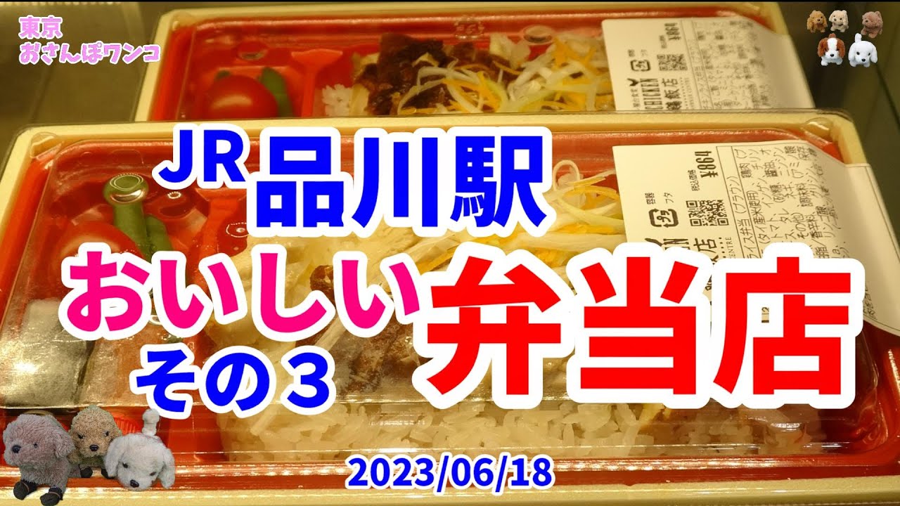 【品川駅ecute】【弁当】【駅弁】その3 sacana bacca・ 肉 にくおろし こじま・ PAOPAO 点心。品川駅構内ecuteにお ...
