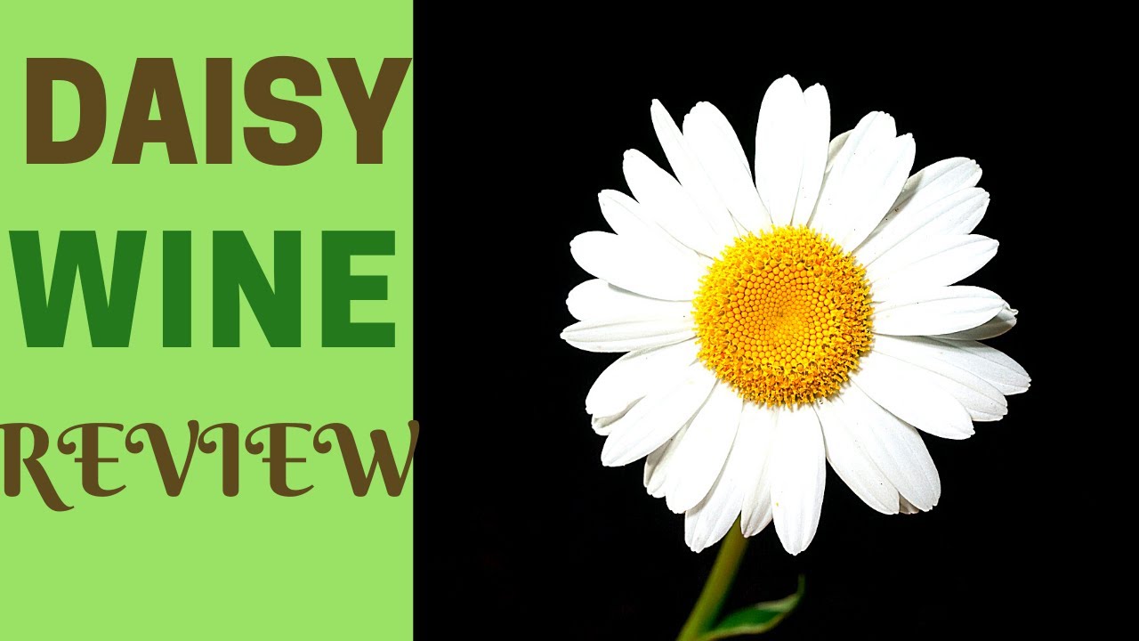 Daisy wine review and taste test - YouTube