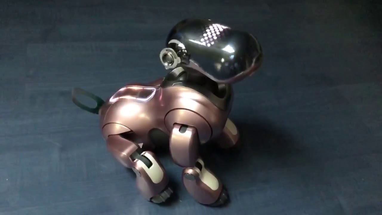 Aibo ERS-7 custom color pink-metallic first run - YouTube