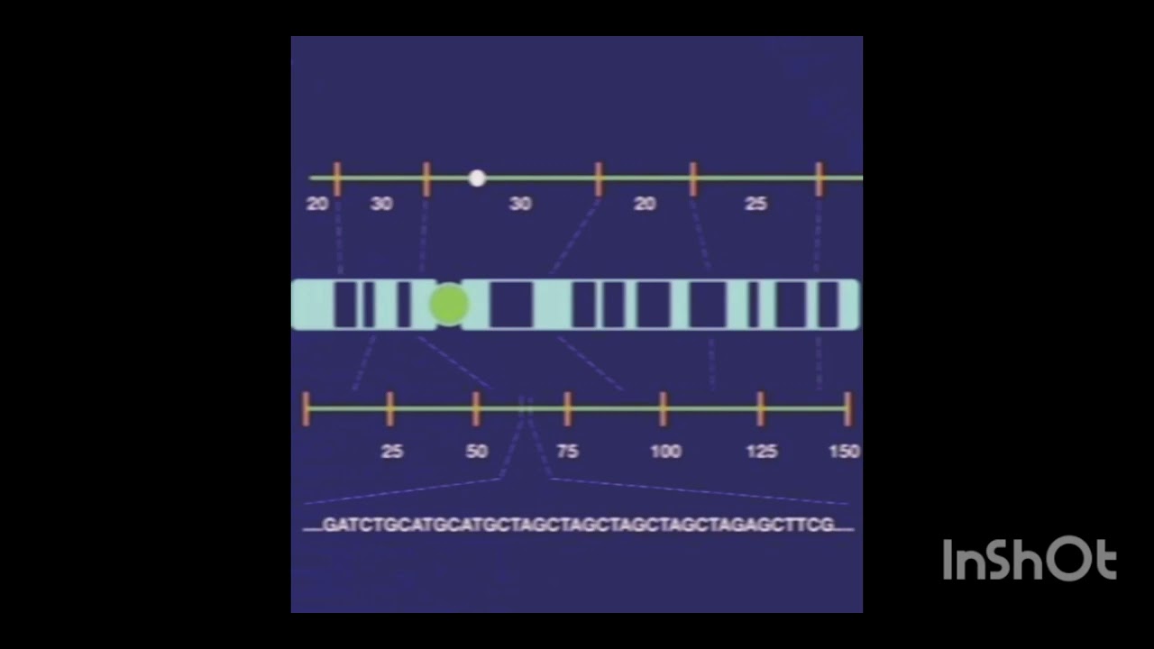 Dna subliminal infusion booster subliminal - YouTube