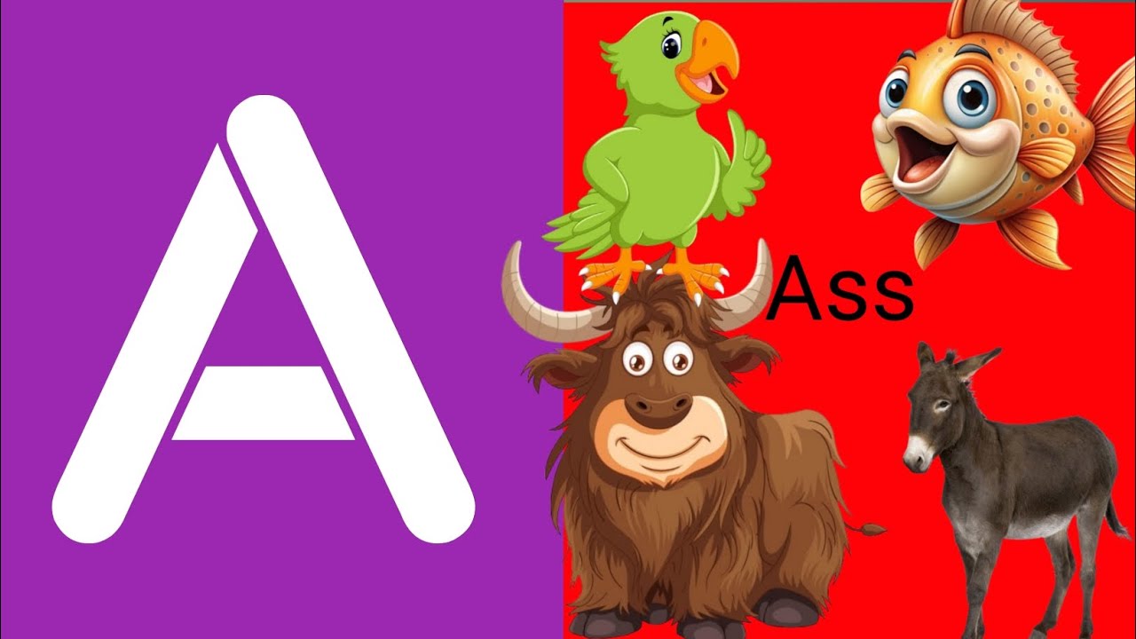 A for Ass | abcd | phonics song | a for ass b for Buffalo c for canal ...