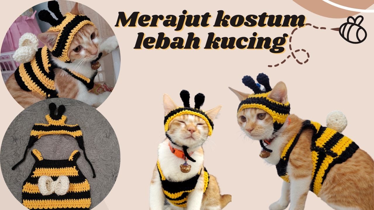 Merajut kostum lebah untuk kucing | Cat bee Crochet - YouTube