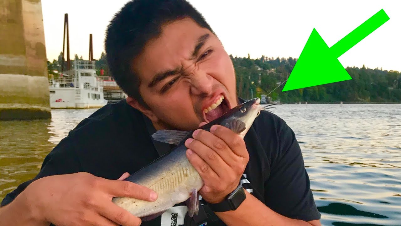 Q&A with CHANNEL CATFISH catch | Oregon Fishing - YouTube