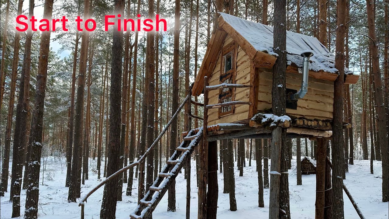 How to build a house in the woods? DIY TreeHouse in the wild forest ...
