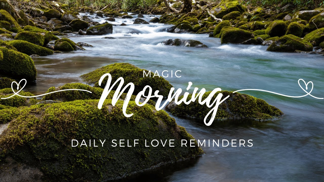 November 7 | good morning beautiful soul | daily self love reminders ...