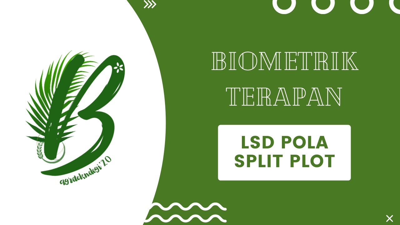 Biometrik Terapan - LSD pola Split Plot - YouTube