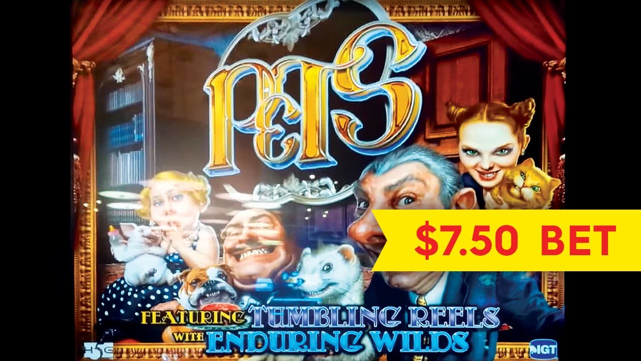 Pets Slot - $7.50 Max Bet - LIVE PLAY BONUS! - YouTube