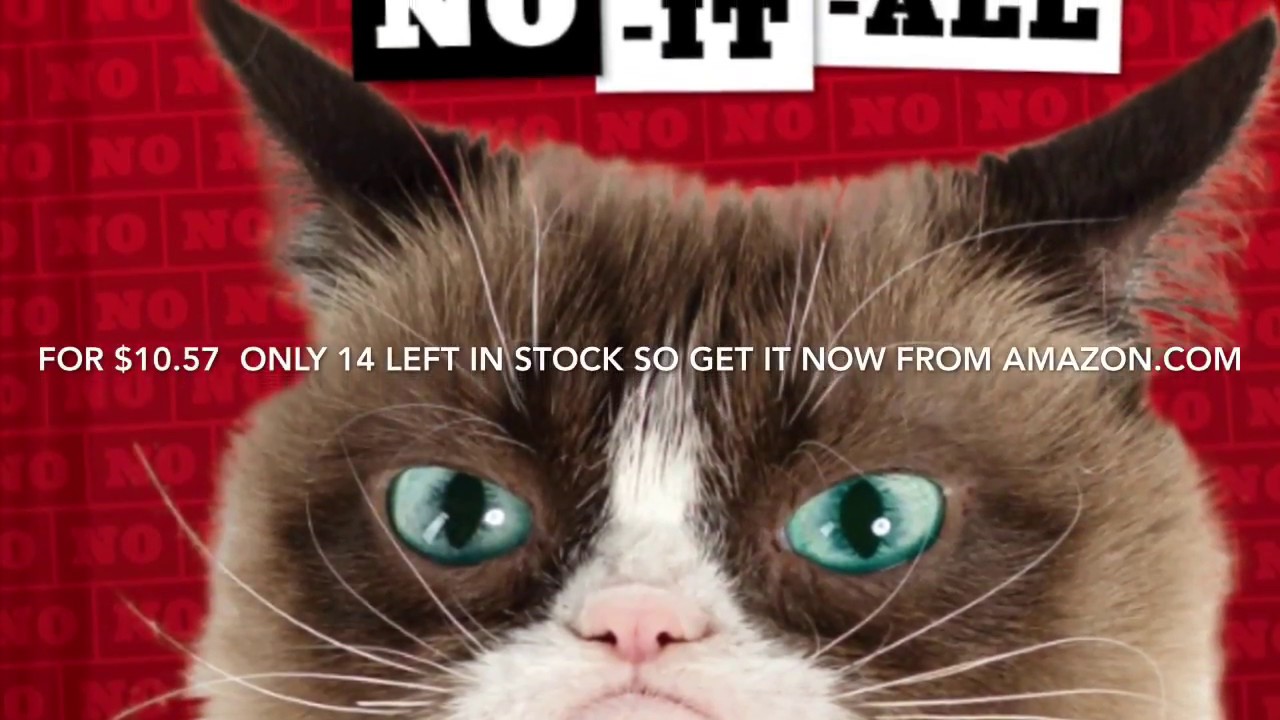 Grumpy cat no it all - YouTube