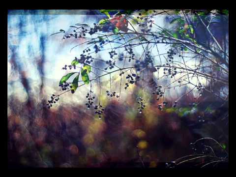 Nature 009 Sound System Storm (Alexander Perls) - YouTube