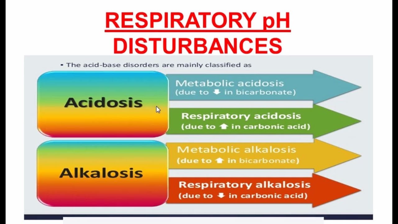 Respiratory Acidosis and Alkalosis - Respiratory pH Disturbances - YouTube