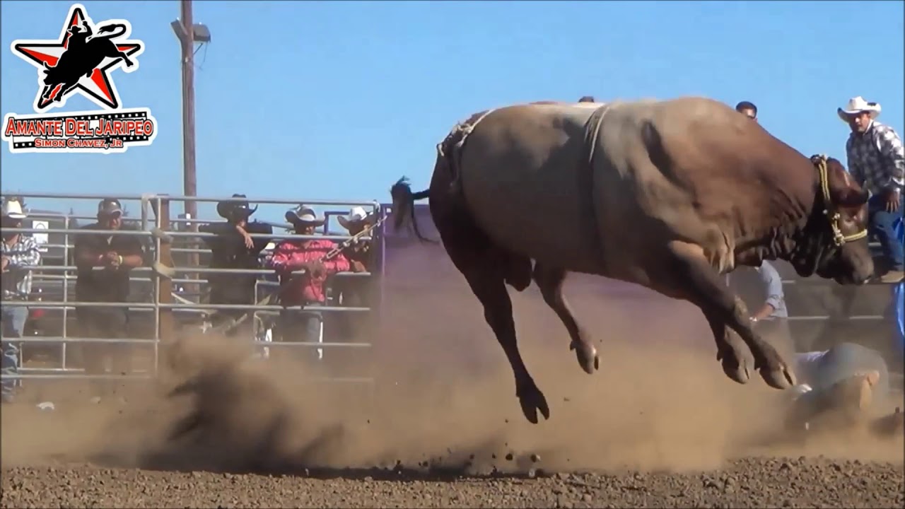 LA HISTORIA DE UN VAQUERO/EL TORON DE MICHOACAN - YouTube