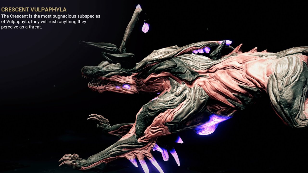 Warframe - How to get Weakened Crescent Vulpaphyla without using echo ...