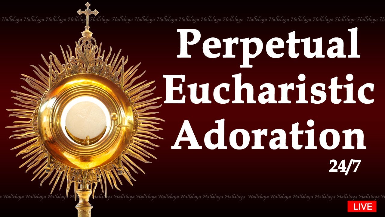 Perpetual Adoration Live | Eucharistic Adoration (24/7) - YouTube
