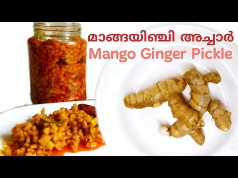 മാങ്ങയിഞ്ചി അച്ചാർ/Mango Ginger Pickle Recipe/How To Make Mango Ginger Pickle/Onam Sadya Recipe ...