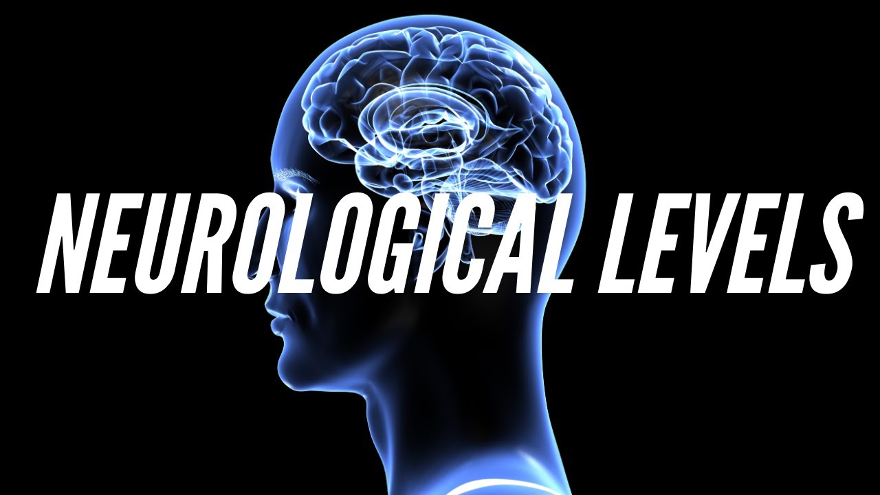 NLP Neurological Levels - YouTube