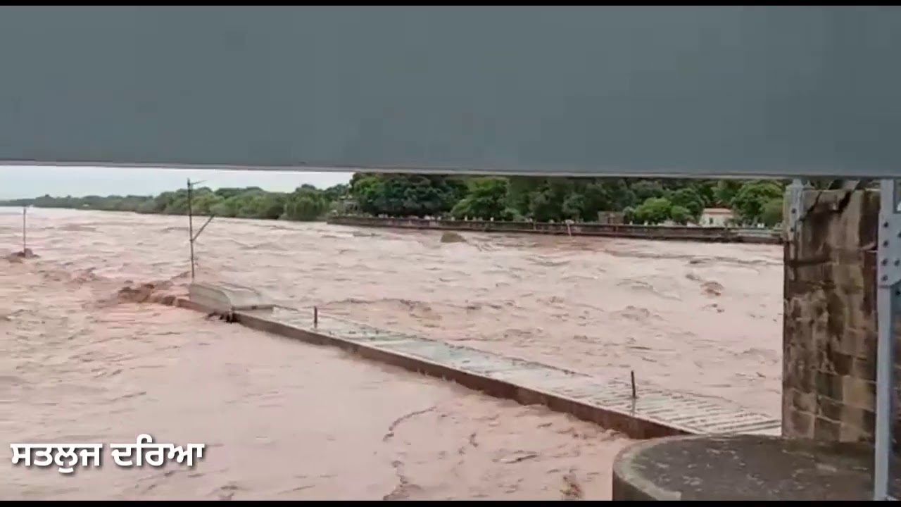 Satluj Flood | Ropar | Nagal Dam | Bhakra Dam | Punjab Flood - YouTube