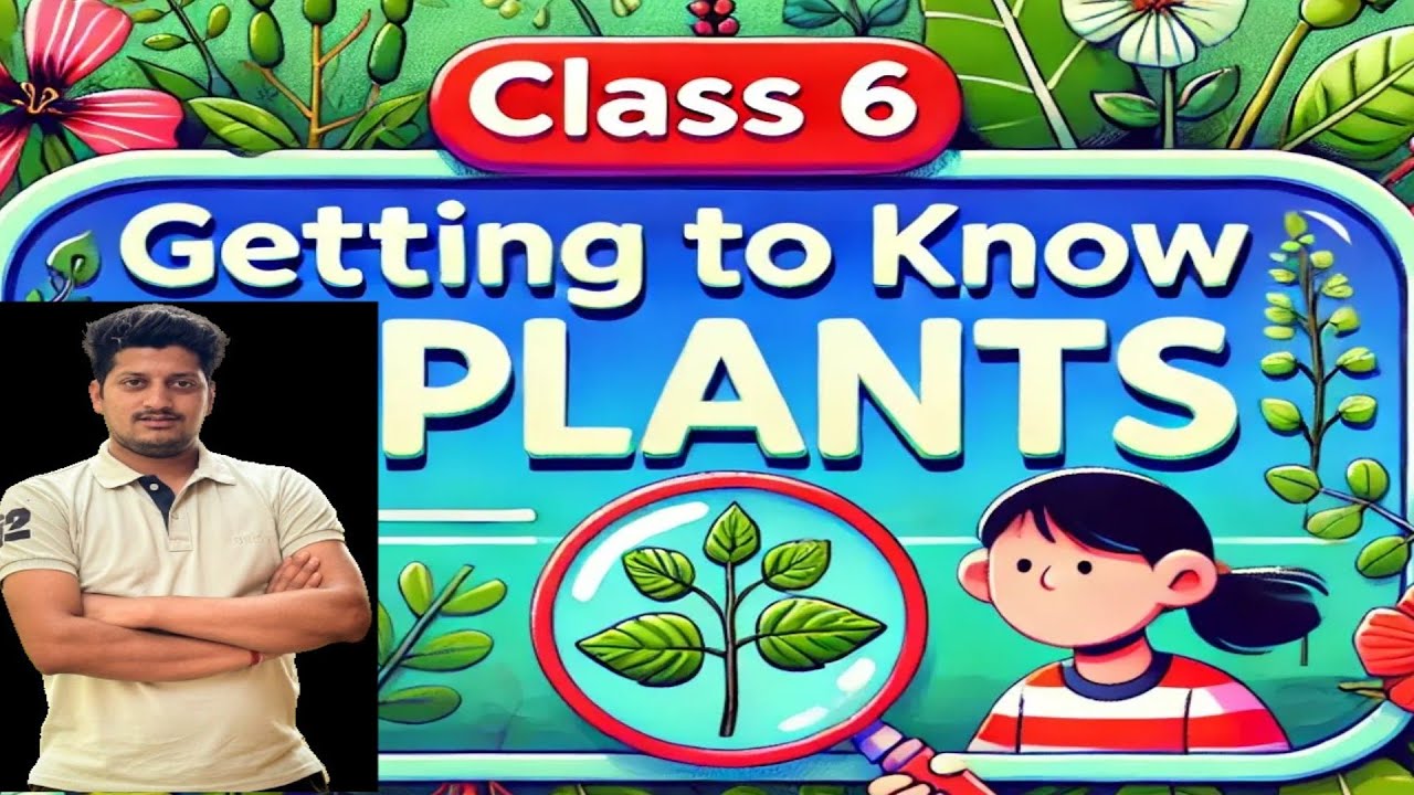 Class-6 // ncert science// getting to know plants - YouTube